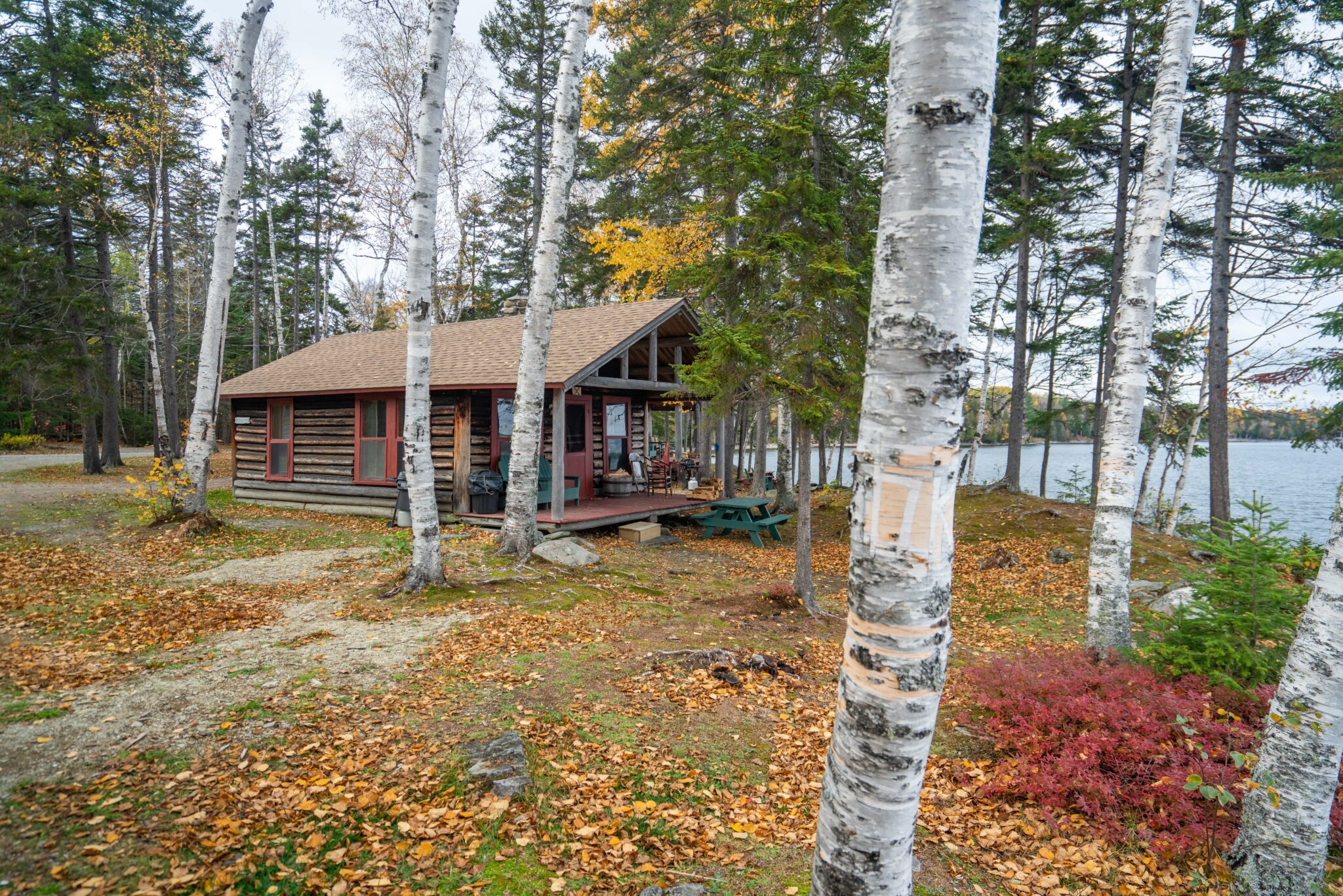 One Bedroom Cabins - The Birches Resort